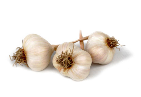 Vegetables | Juchowo Farm